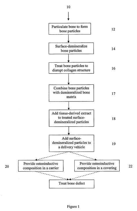 Bone Matrix Compositions And Methods Eureka Patsnap