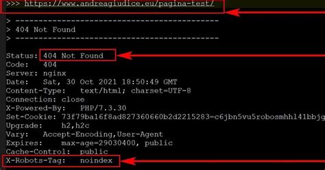 Il Noindex Nellx Robots Tag