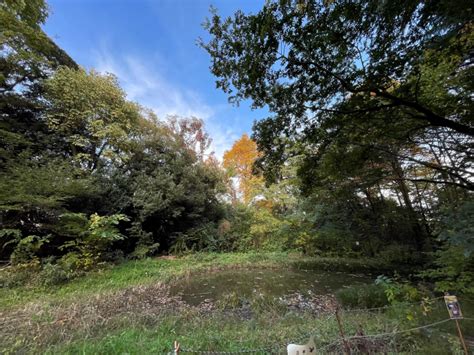 나카노구 내 추천의 공원 5선 일본의 관광 미디어 Matcha