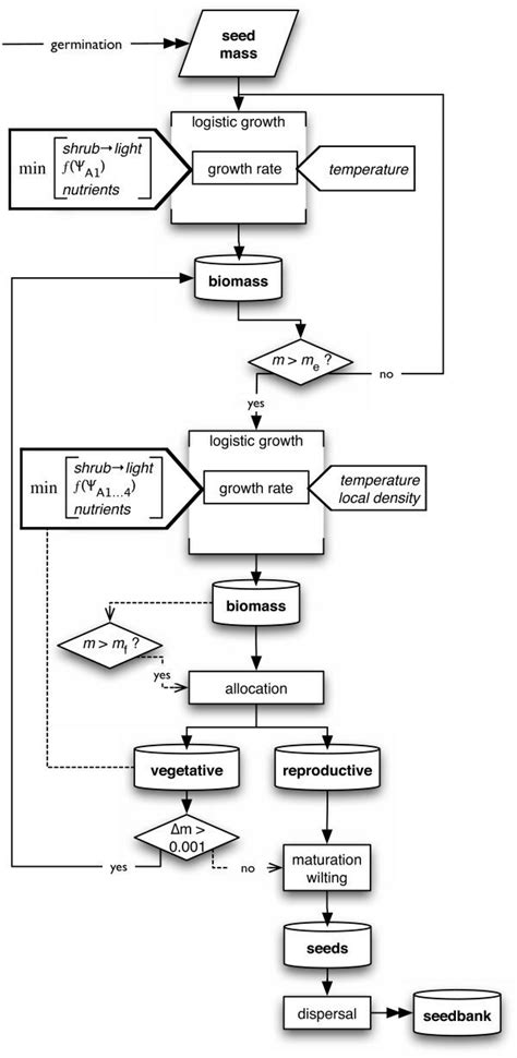 Plant Flow Chart
