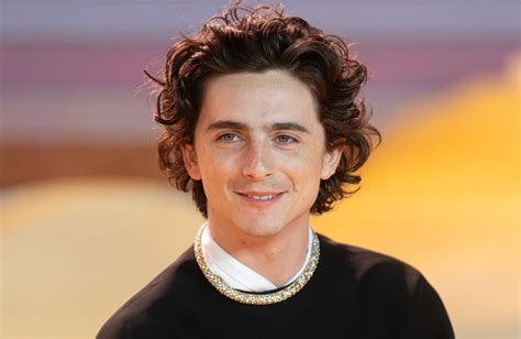 Kritik: Timothée Chalamet singt Bob Dylan — Rolling Stone