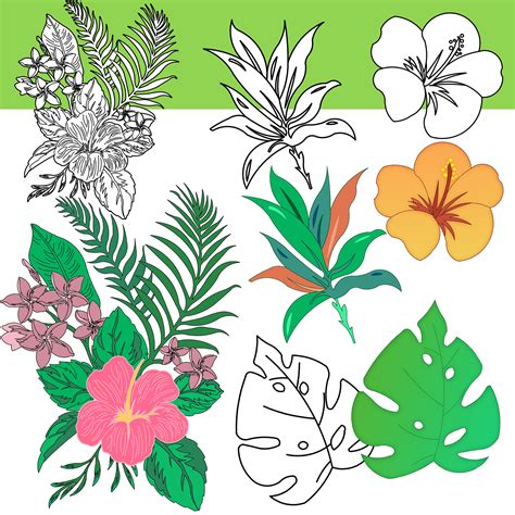 Tropical Plants Clip Art At Jacqueline Sadler Blog