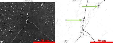 Sem Image Left And The Corresponding Grain Boundary Map From Ebsd