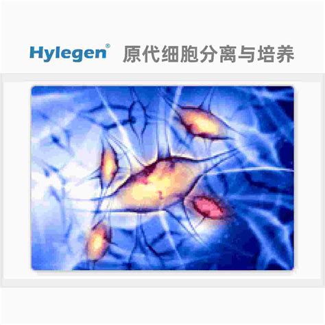 原代细胞分离与培养