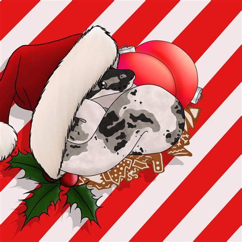 Cute Ball Python Drawing