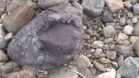 노지 자갈밭 수석 채취 열정 Youtube