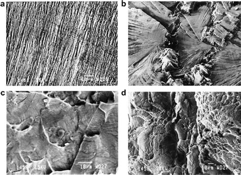 Close Up View Of The Fracture Surface A Fatigue Striations