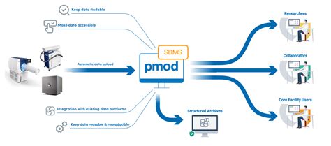 pmod quantification software bruker