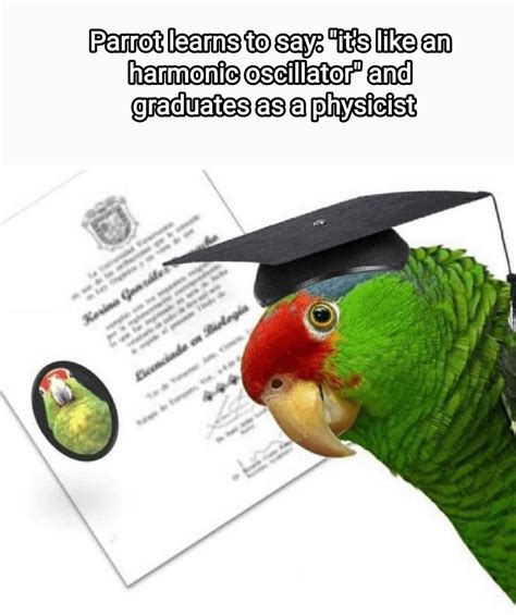 Thats How I Will Get My Physics Phd Rphysicsmemes