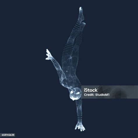 스포티 한 남자가 손으로 운동을 하 고 있다입니다 체조 선수 이다입니다 남자의 3 차원 모델입니다 인체 모델입니다 Championship에 대한 스톡 벡터 아트 및 기타