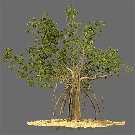 Artstation Speedtree Cinema Workshop 2024 Complex Tree Tutorial