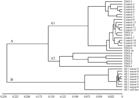 Unsupervised Hierarchical Clustering Of Samples Based On The