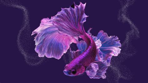 Salesforce Ben On Linkedin 5 Advanced Flow Concepts For Salesforce Professionals