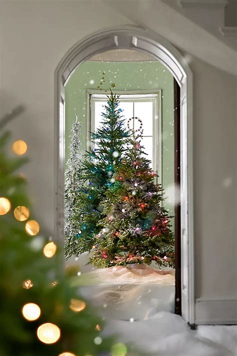 Starry Ring Tree Topper Anthrohome