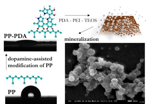 Dopamine Assisted Modification Of Polypropylene Film To Attain Hydrophilic Mineral Rich Surfaces