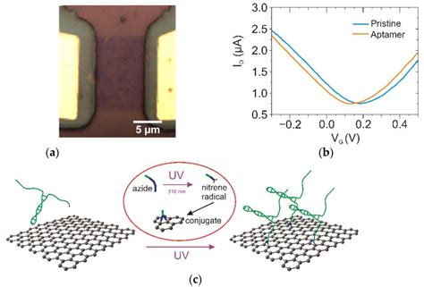 Article Mdpi Aptamer Dna Graphene Biosensors Sensors Openaccess Abstract Biosensors Mdpi