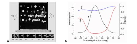 Light Scattering In The Glass In The Full Internal Reflection Regime
