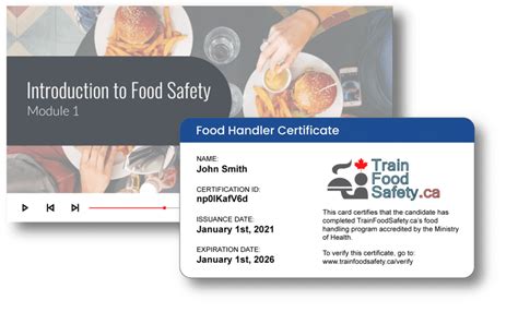 Food Handler Certificate Online Qatar At Sue Frye Blog