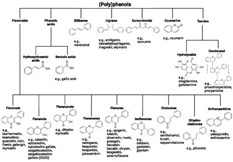 The Classification And Chemical Structures Of Polyphenols Structures