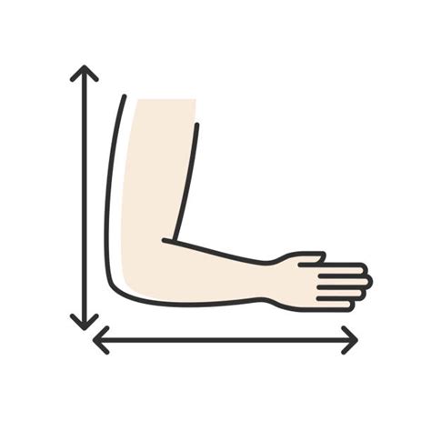 190 Measuring Arm Length Stock Illustrations Royalty Free Vector