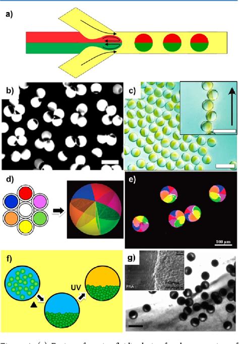 Figure 4 From Droplet Microfluidics For Producing Functional Microparticles Semantic Scholar