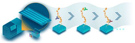 Protein Sequencing Expands The Omics Club