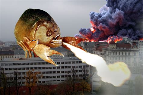 Nagira Role Play Grid Fandom