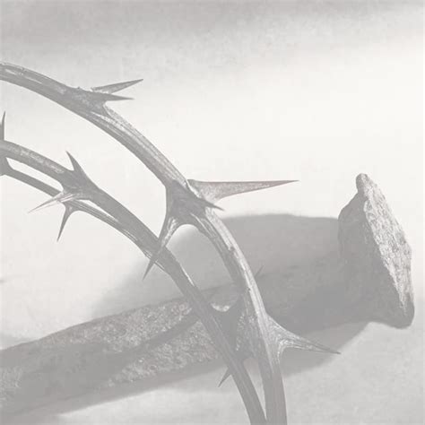 Muthoni Wanderi Maina Mba Rims Crmp On Linkedin Matthew 28 6 A He Is Not Here For He Is