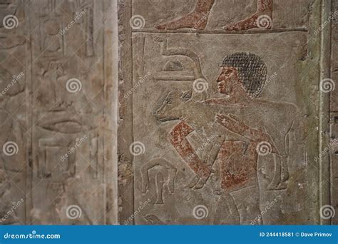 Interesting Ancient Paintings And Engravings With Hieroglyphics Symbols