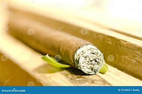 Charuto Imagem De Stock Imagem De Luxo Havana Cubano 7510063