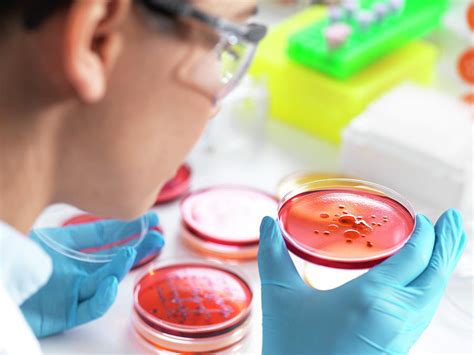 Microbiological Research Photograph By Tek Imagescience Photo Library