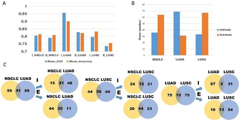 Differences In Transcriptional Patterns Among Nsclc Luad And Lusc Download Scientific
