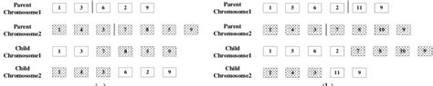 Schematic Diagram Of Chromosome Crossover Download Scientific Diagram