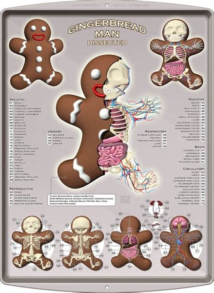 Gingerbread Dissected