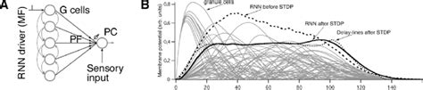 adaptation of recurrent neural network output without delay line input