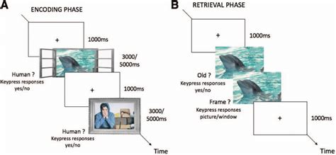 Procedures Used In A Encoding Phase And B Retrieval Phase For