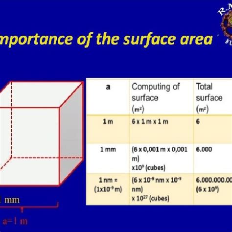 The Importance Of The Surface Area Download Scientific Diagram