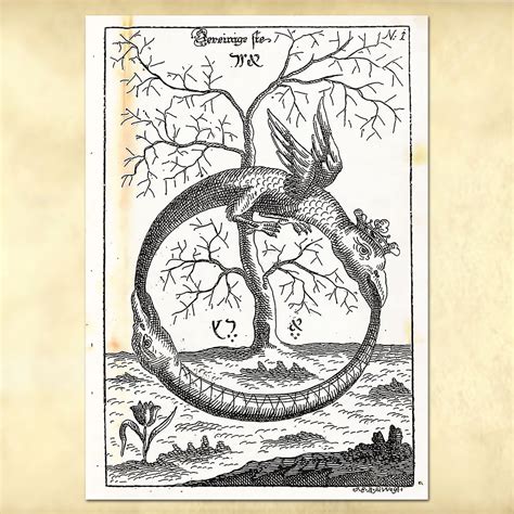 Ouroboros Dragons Illustration From Old Ancient Alchemy Book Etsy
