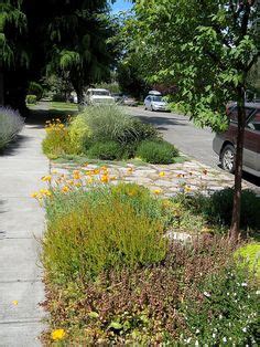 Discover 7 Parkway Designs And Sidewalk Landscaping Ideas Front Yard