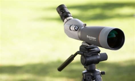 Best Bird Spotting Scope Top 7 Spotting Scope Of 2024