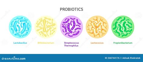 Probiotics Lactic Acid Bacteria Bacteria And Microorganisms Microscopic Probiotics Bacterial