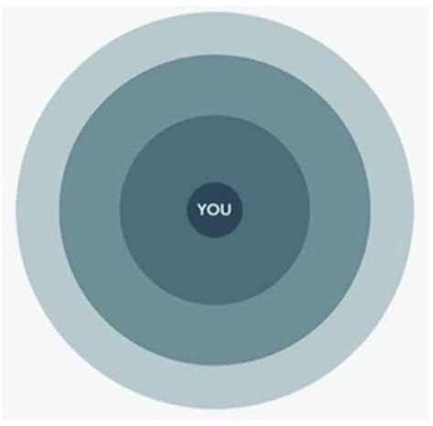 Concentric Circles Used During Interview The Circles Nearest The Most Download Scientific