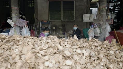 A Pile Of Coconut Shells With Two Old Asian Women Working On The Background Wide Angle Shot
