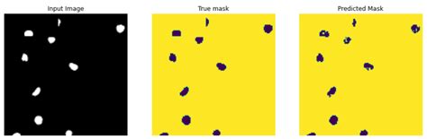 GitHub Hazirafidi P Cell Nuclei Detection Via Semantic Segmentation Semantic Segmentation
