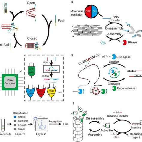 Active Colloidal Systems As Programmable Active Matter A Dynamic