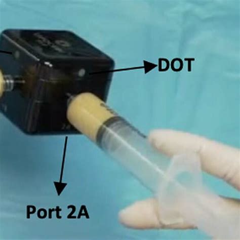 Mechanical SVF Isolation With SVF Kit From Lipoaspirated Fat Tissue And Download Scientific