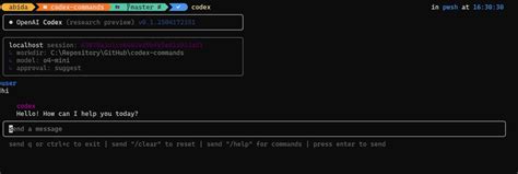 Understanding Openai Codex Cli Commands