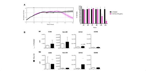 Effect Of Cs Ncs In Tumor Cells In Vitro A Kinetics Of The