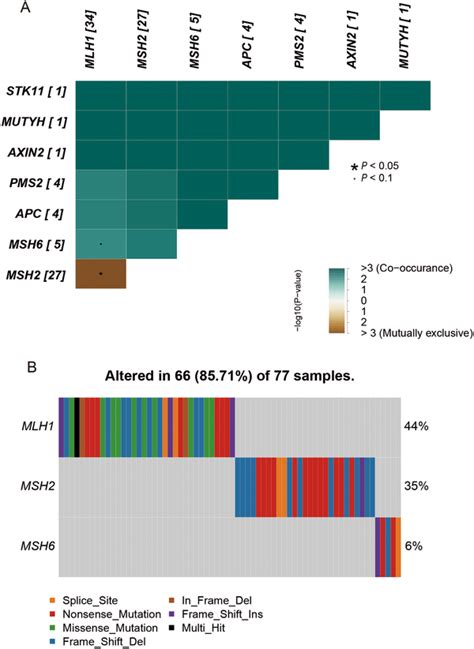 Mutual Exclusive Analysis Of The Selected Genes A Mutual Exclusive Download Scientific