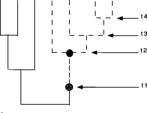 Figure 1 From Estimating The Age Of Alleles By Use Of Intraallelic